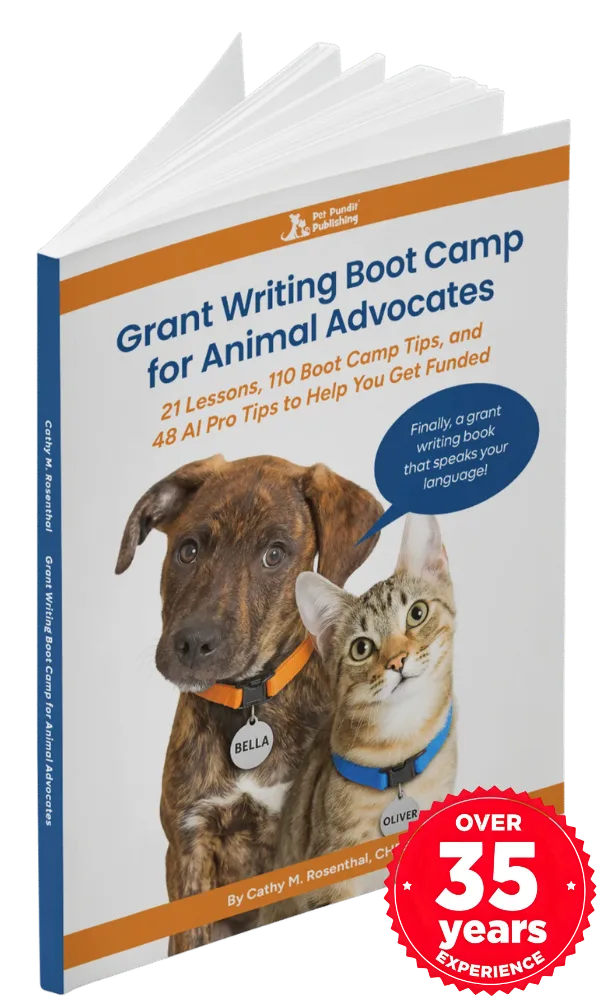 Grant Writing Book - Cathy M. Rosenthal